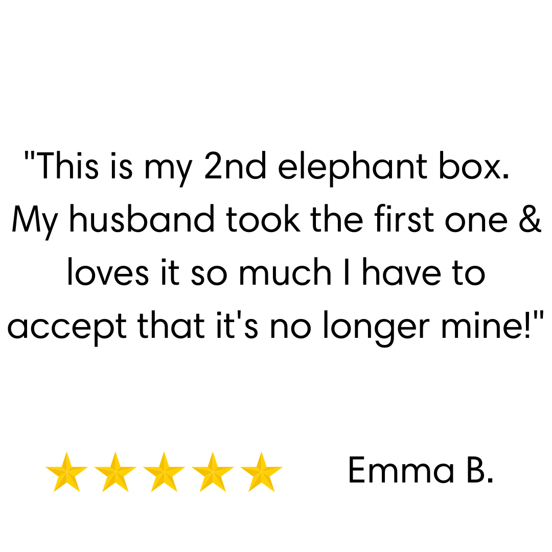 Elephant Box 2L Stainless Steel Large Lunch Box | Eco-Friendly & Durable