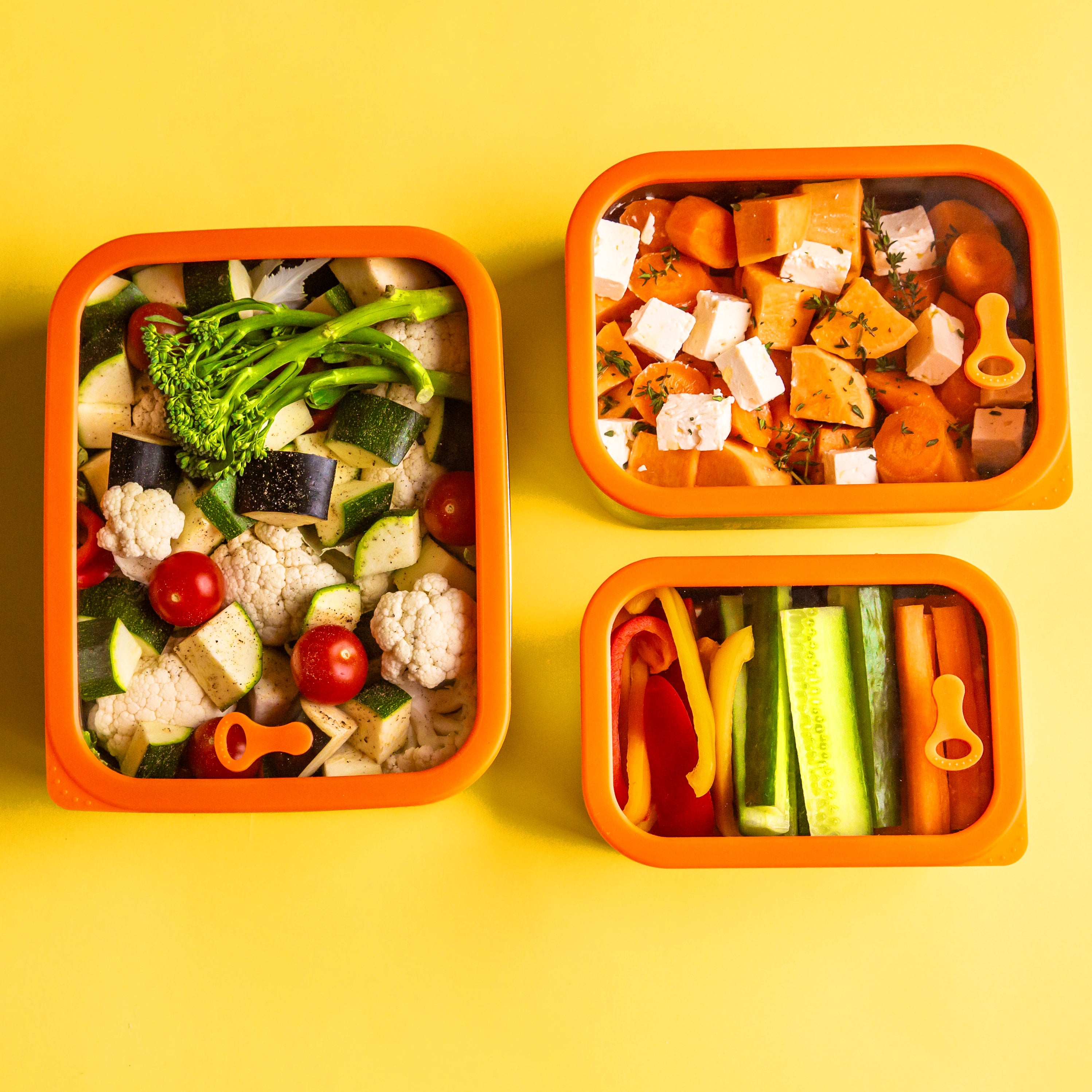 Elephant Box Stainless Steel Lunch Boxes & Drinkware