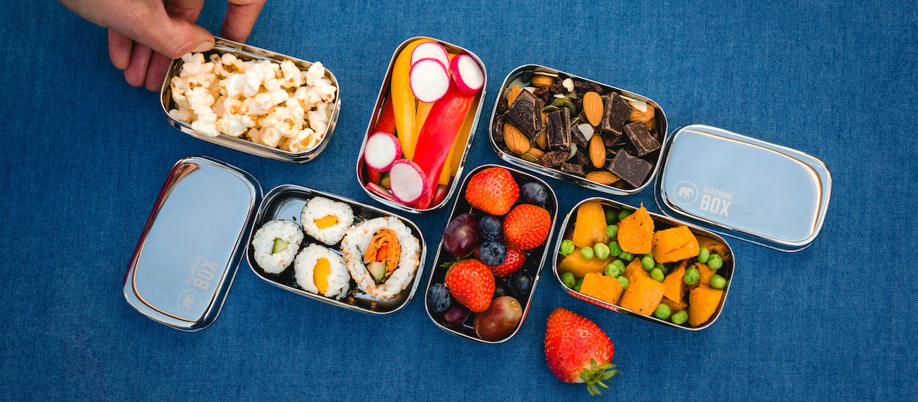 Mini Snack Pod Pair - Stainless Snack Containers | Elephant Box